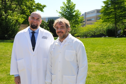 OHSU researchers receive more than $2 million for cancer research from ...