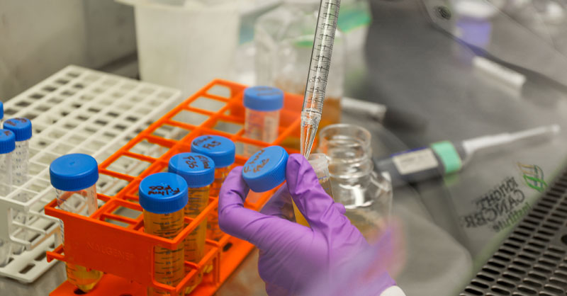 OHSU researchers receive more than $2 million for cancer research from ...