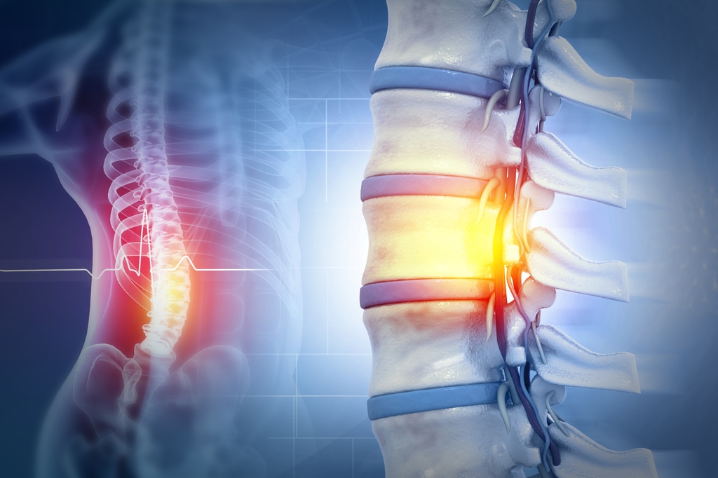 Study suggests new approach for treatment of spinal injuries | OHSU News