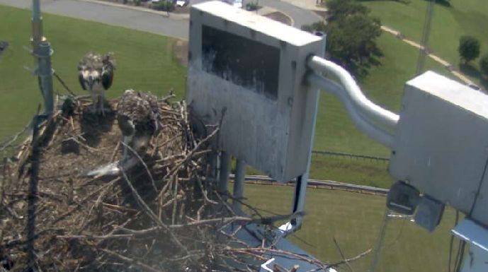 Catawba Nuclear Station - Premier Osprey Neighborhood | Duke Energy ...