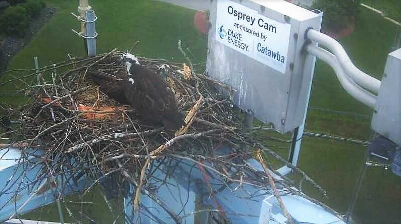 Family builds a new home at Catawba Nuclear Station | Duke Energy ...