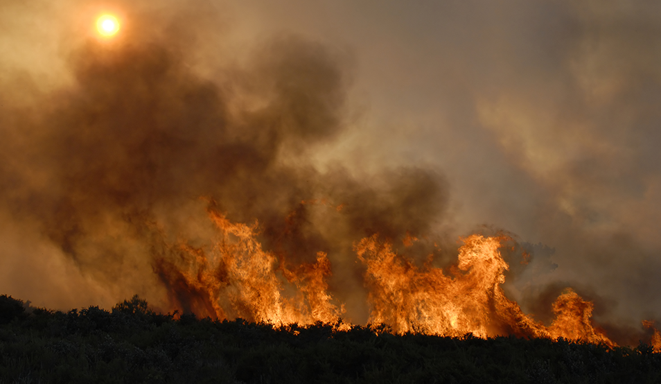 Protect Yourself by Preparing for Wildfires | Blue Shield of California ...