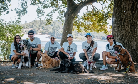 Over 400 Blue Shield Employees and Their Furry Friends Made a ...