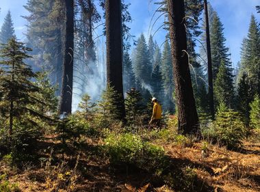 High-Tech Cameras Help Monitor Potential Wildfires in Real Time ...