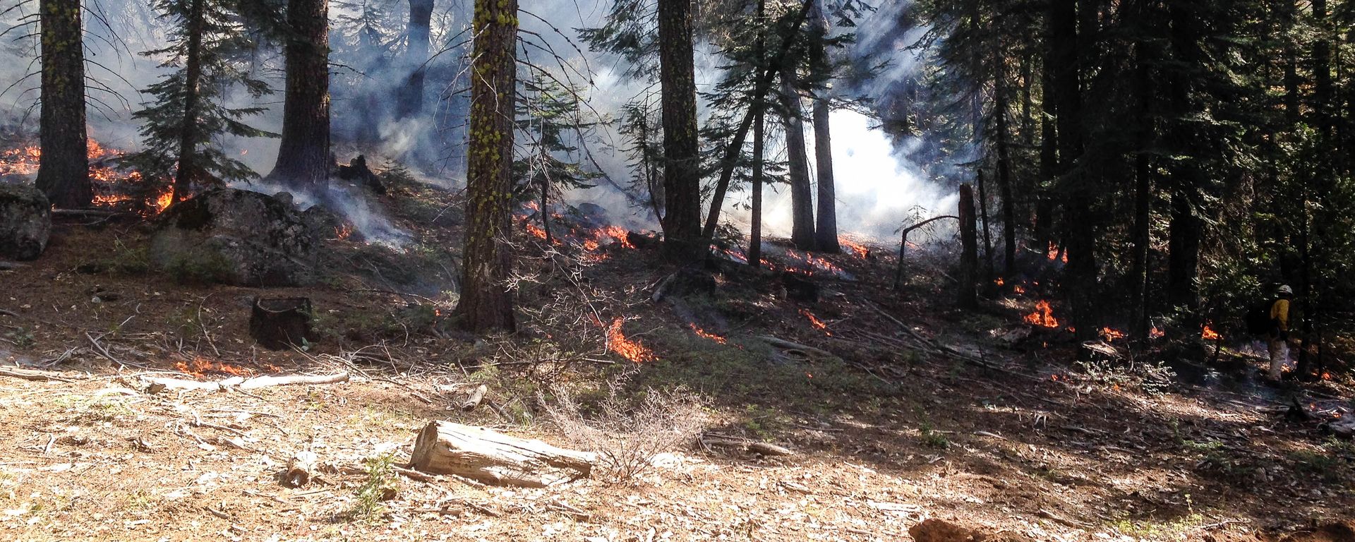 SCE Uses Fire to Fight Wildfires | Energized by Edison