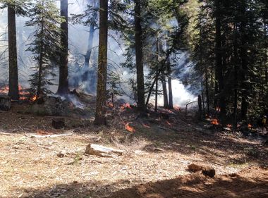 Fire Meteorologist Helps Lead SCE’s Wildfire Prevention Efforts ...