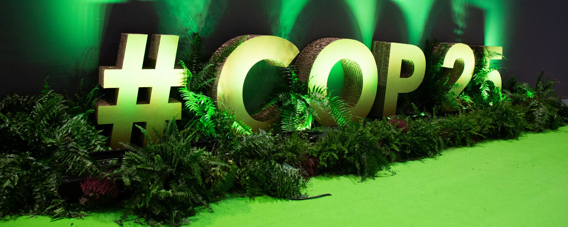 Future of Planet Takes Center Stage at COP25 | Energized by Edison