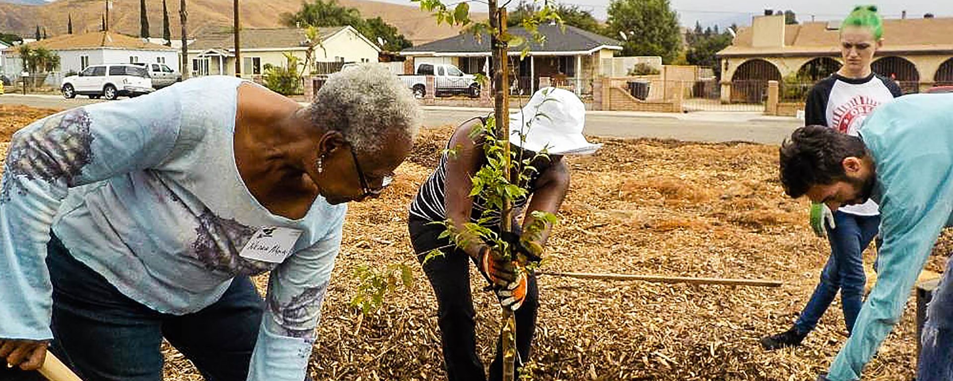 Planting Trees for Greener, Cleaner Communities | Energized by Edison