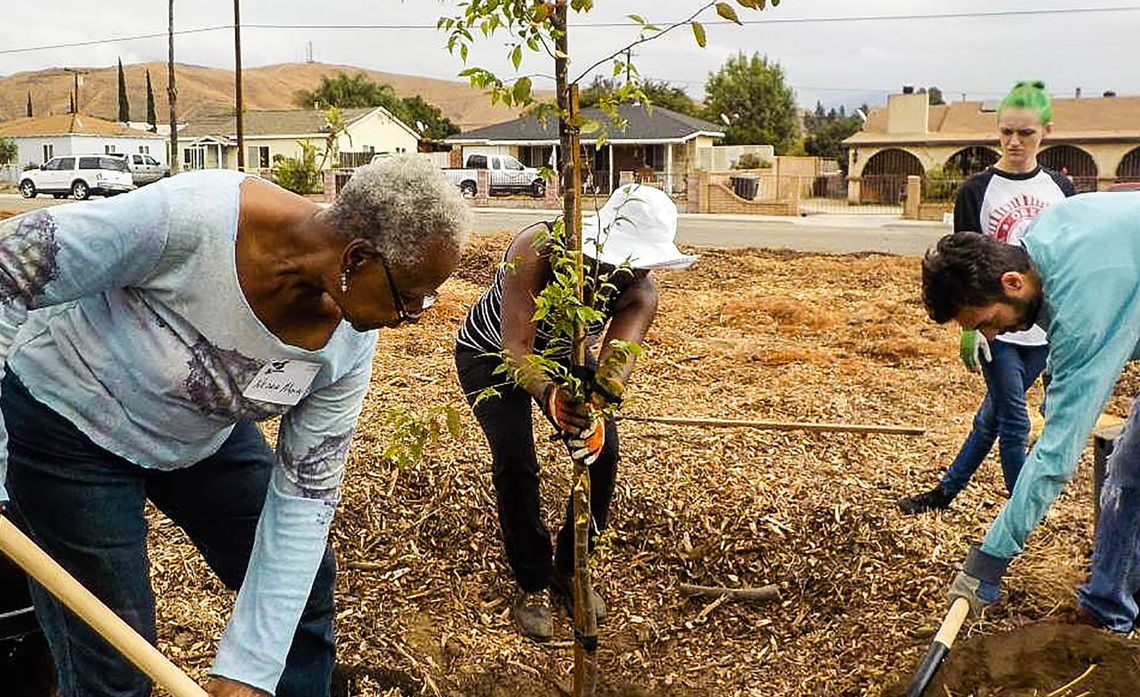 Planting Trees for Greener, Cleaner Communities | Energized by Edison