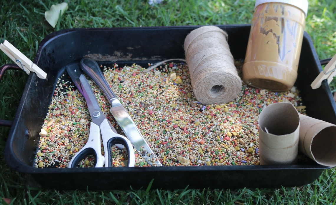 Energy-Efficient, At-Home Activities for the Whole Family | Energized ...