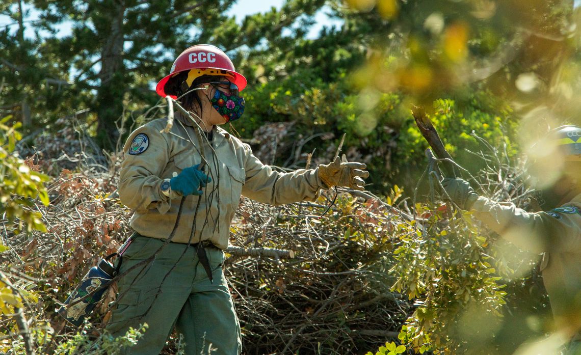 CCC Forestry Corps Plays Vital Role in State’s Wildfire Mitigation ...