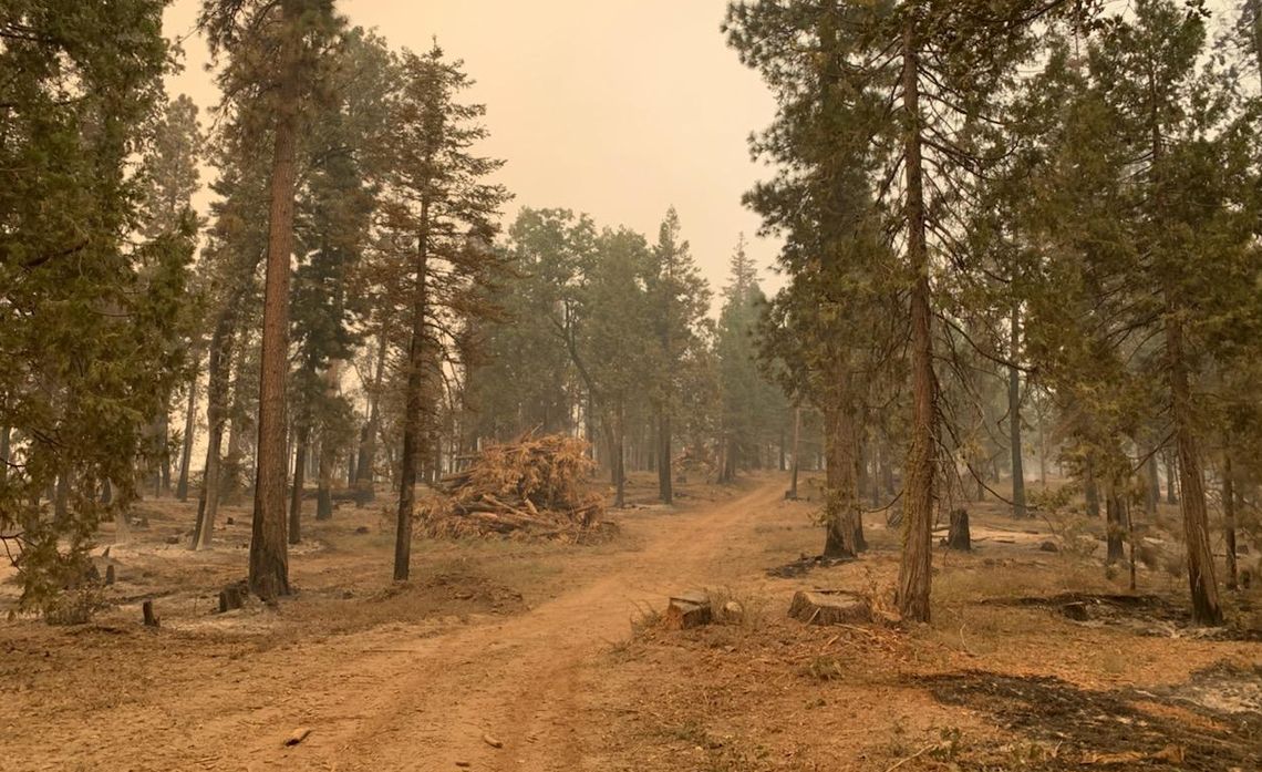 Protecting Communities in Sierra Nevada From Dangerous Wildfires ...