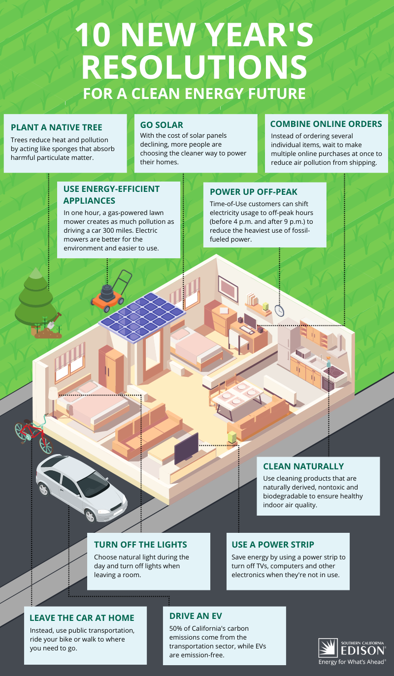10 Sustainable New Year’s Resolutions | Energized by Edison