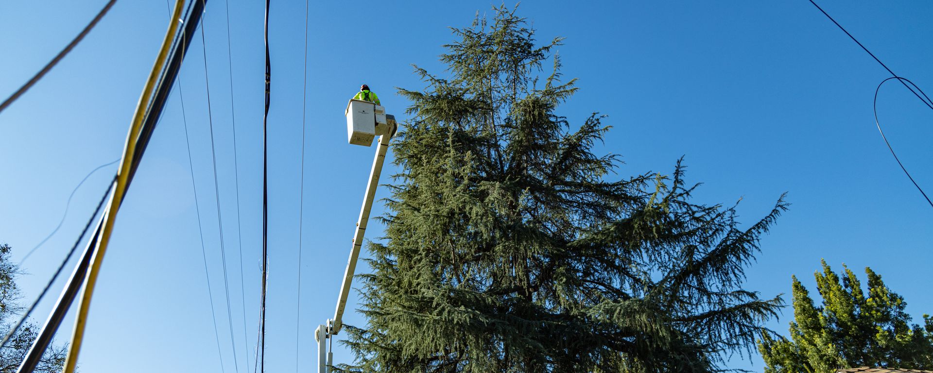 SCE Spearheads Global Effort to Reduce Wildfire Risk | Energized by Edison