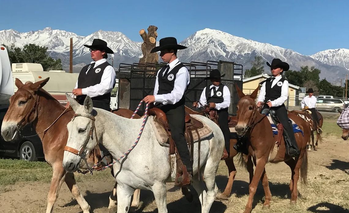 Learning History, Life Skills by Handling Mules | Energized by Edison