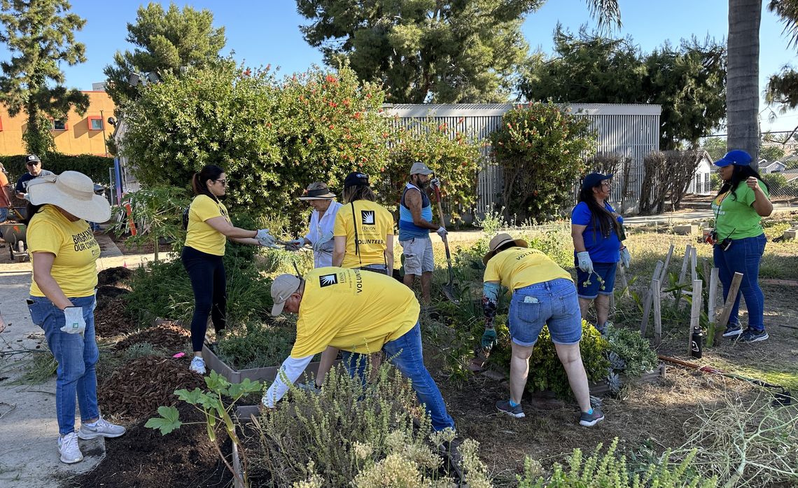 Edison Volunteers Dig In for Biodiversity | Energized by Edison