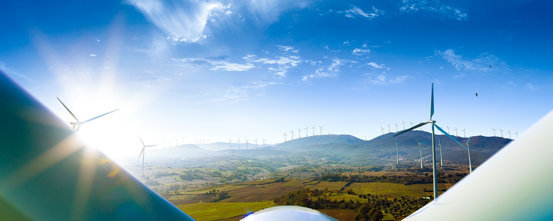 Celebrating Earth Day Every Day | Energized by Edison