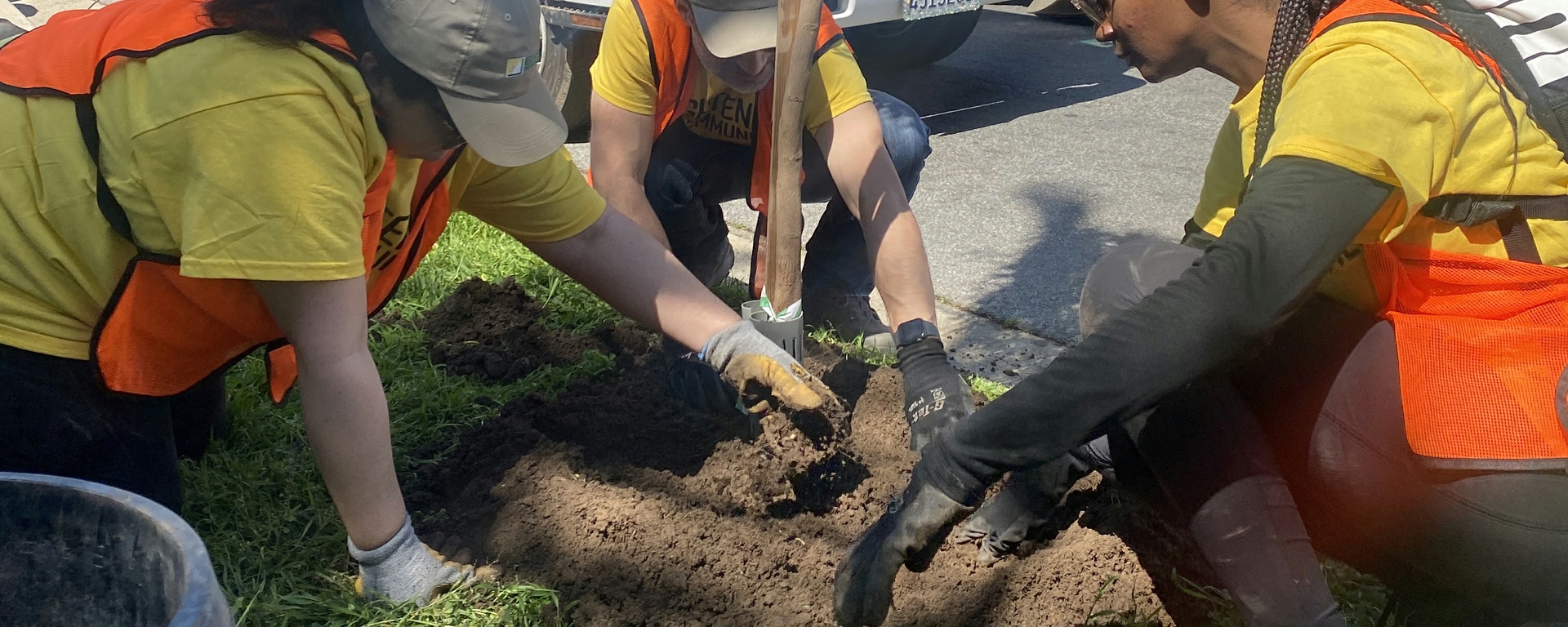 Fighting Pollution, Urban Heat and Wildfires With Trees | Energized by ...
