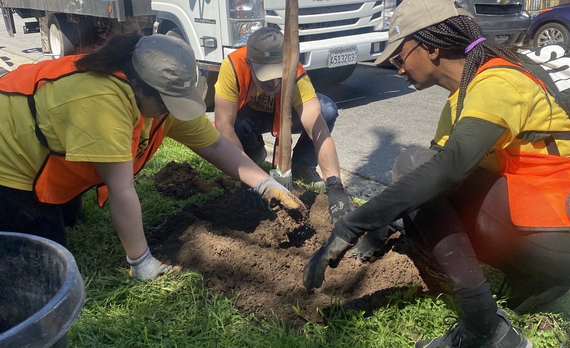 Fighting Pollution, Urban Heat and Wildfires With Trees | Energized by ...