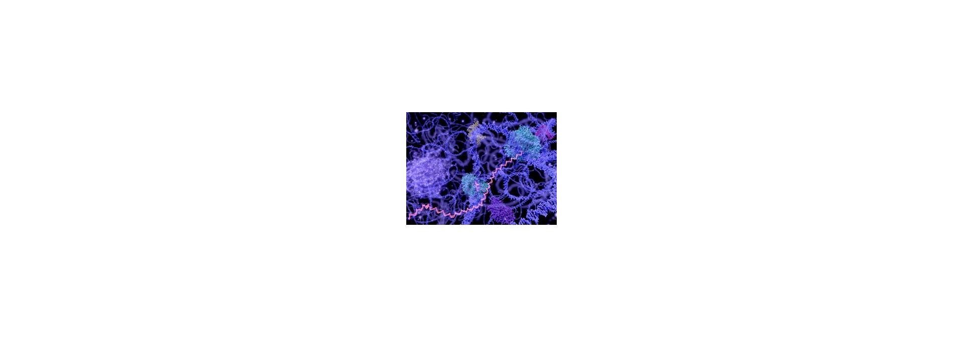 Heard of the Microbiome? Meet the MicroRNAome. | URMC Newsroom