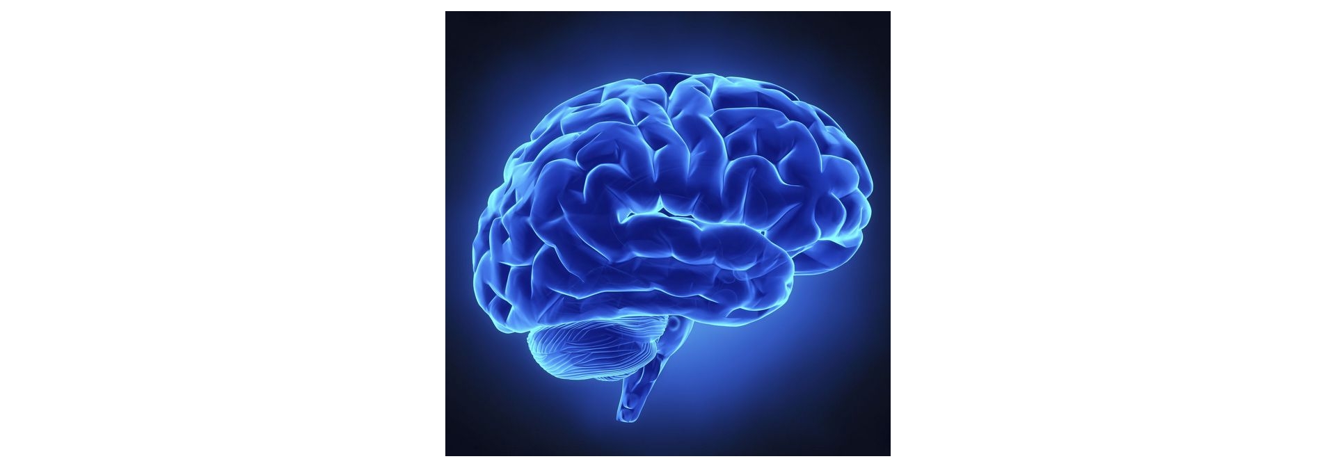 Researchers Pinpoint Brain’s Audiovisual Processing Center | URMC Newsroom