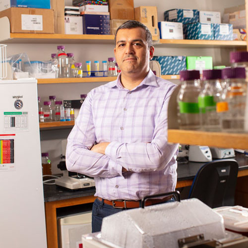 Fresh Faces, New Energy: Transforming Research at Wilmot | URMC Newsroom