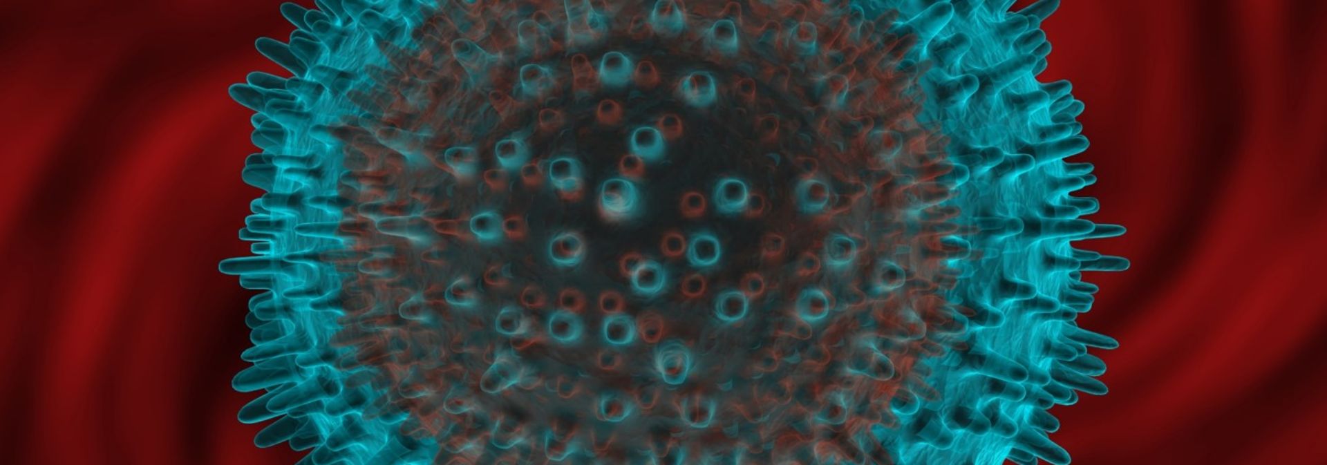 Cells Sacrifice Themselves to Boost Immune Response to Viruses | URMC ...