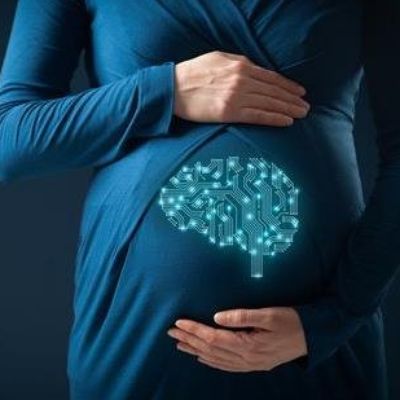 Iron & the brain: Where and when neurodevelopmental disabilities may ...