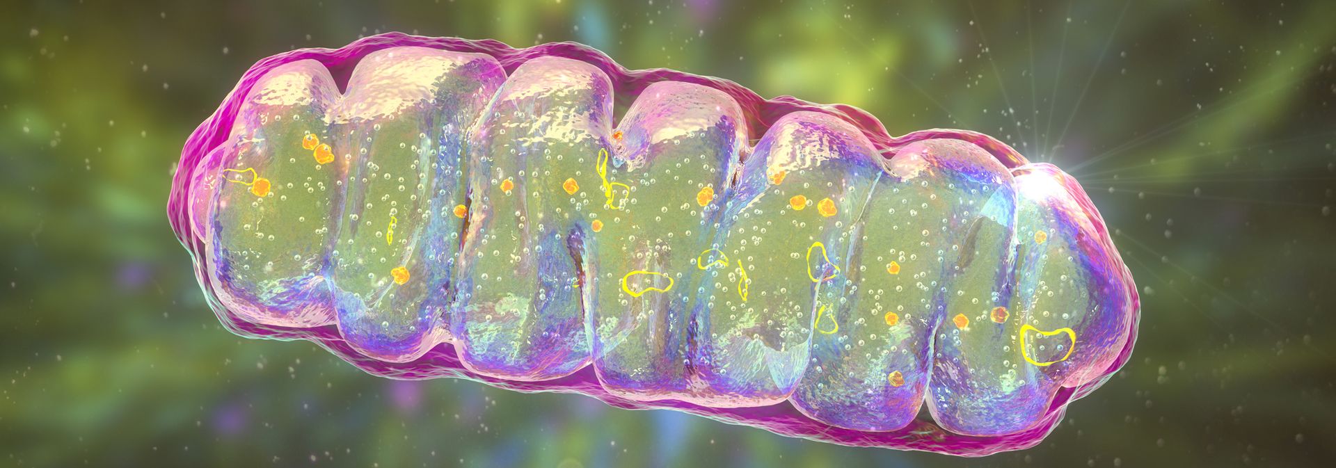 Solar Panels for Cells: Light-Activated Proton Pumps Generate Cellular ...