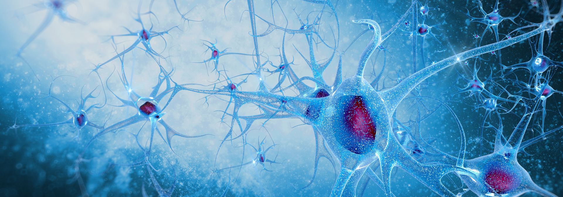 Researchers find rhythmic brain activity helps to maintain temporary ...