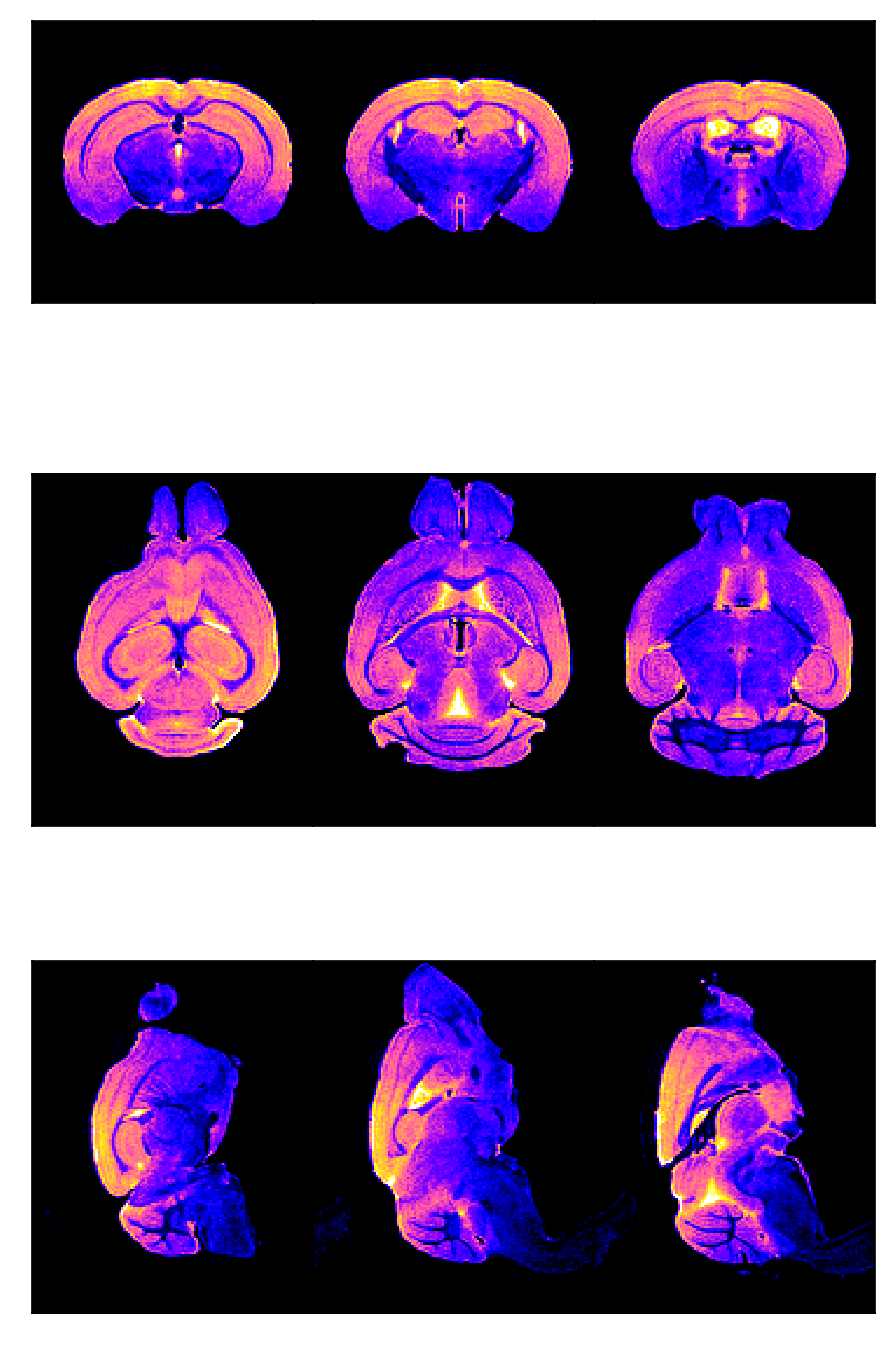 Transforming Intellectual and Developmental Disabilities Research ...