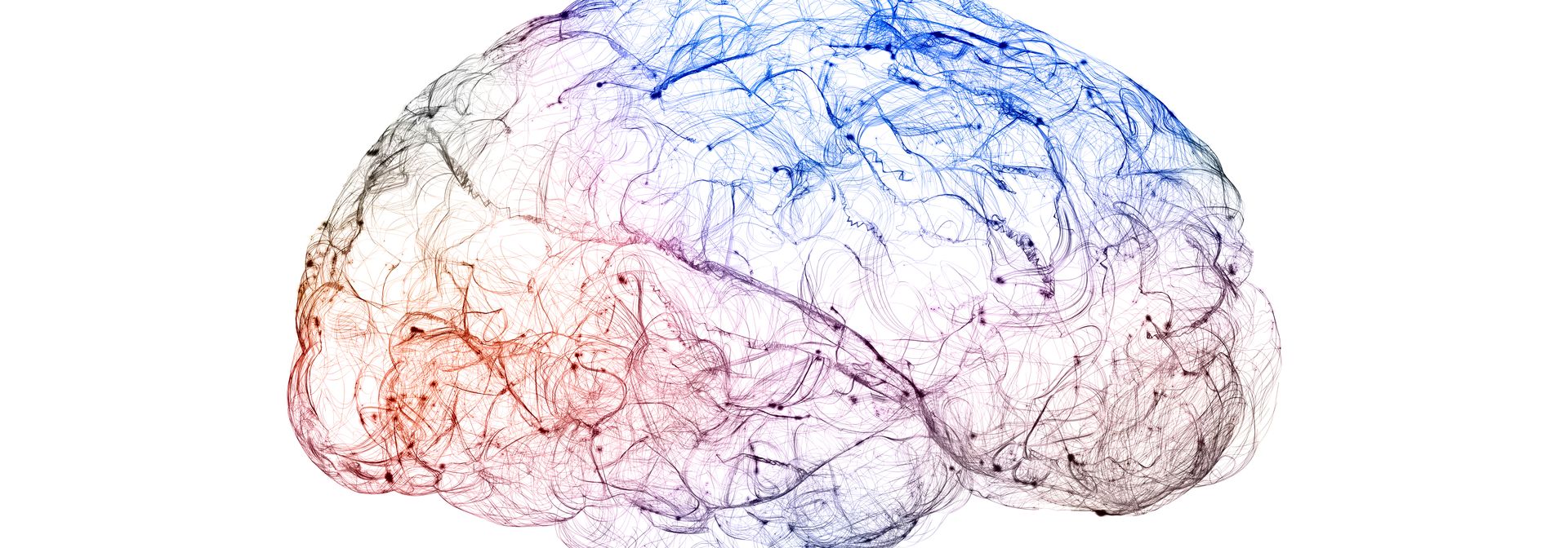 Researchers find possible neuromarker for ‘juvenile-onset’ Batten ...