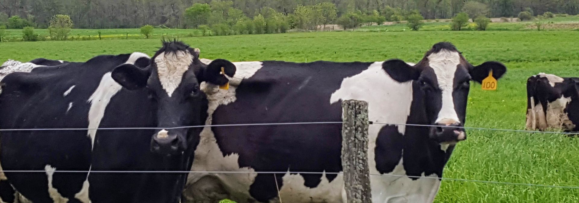 Cancer in Rural Upstate NY: Study Reveals Obstacles, Opportunities for ...