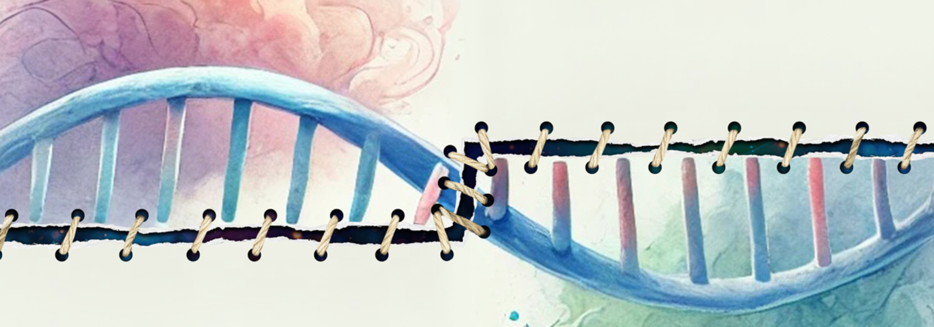 New Discovery Enables Gene Therapy for Muscular Dystrophies, Other ...