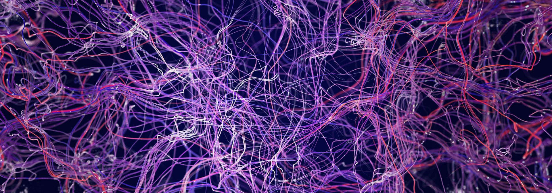 Nedergaard Recognized with Nakasone Award for Pioneering Research ...