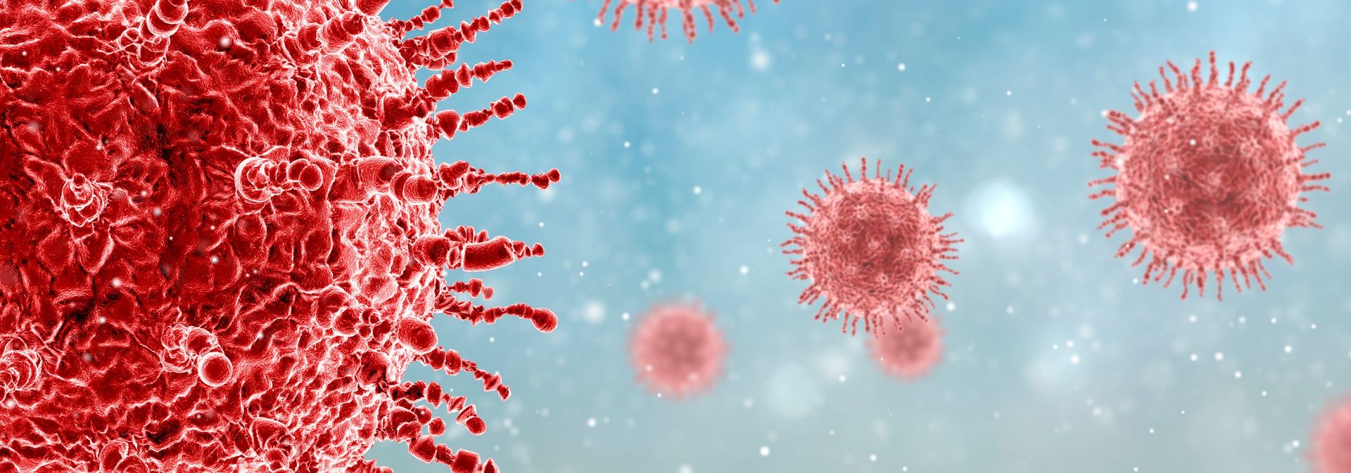 What Is H5N1 Bird Flu, How it Spreads to Humans, and Safety Concerns ...