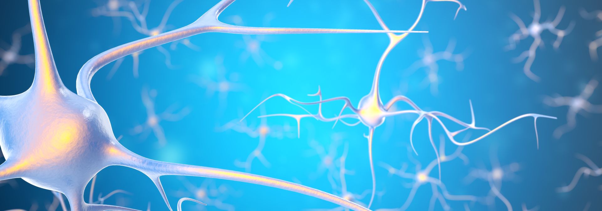 Research finds neurons look different in children with autism | URMC ...