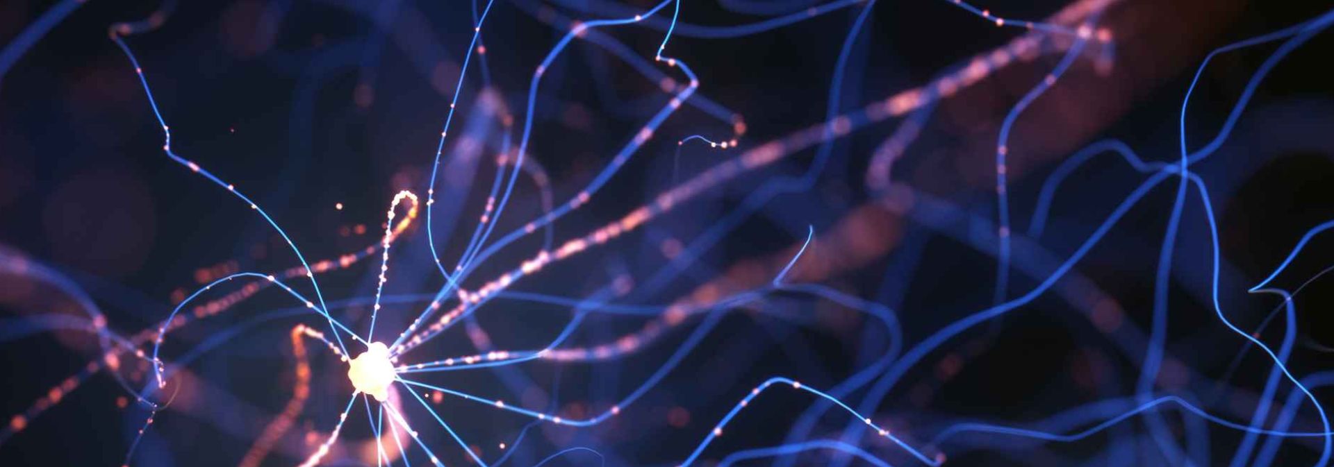 Brain’s Own Repair Mechanism: New Neurons May Reverse Damage in ...