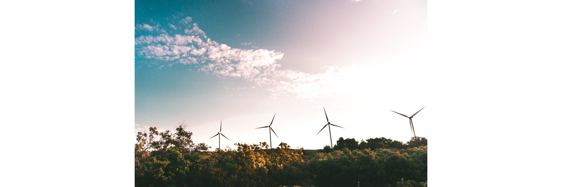 Health and environmental sustainability | Blue Shield of California ...