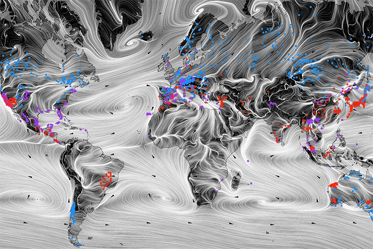 As global climate shifts, forests’ futures may be caught in the wind ...