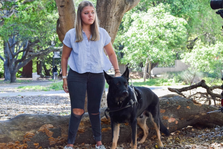 Berkeley freshman looks to expand the availability of service dogs to ...