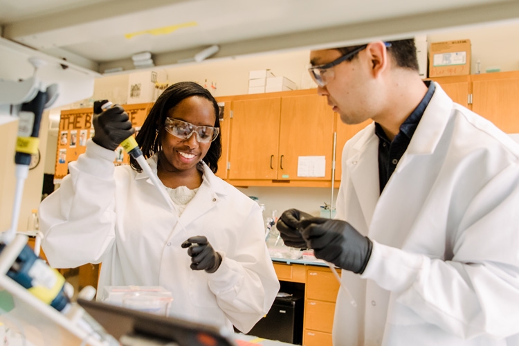 Chan Zuckerberg Initiative launches effort to increase diversity of ...