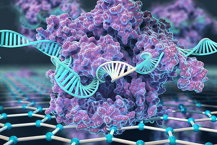 New CRISPR-powered device detects genetic mutations in minutes | Berkeley