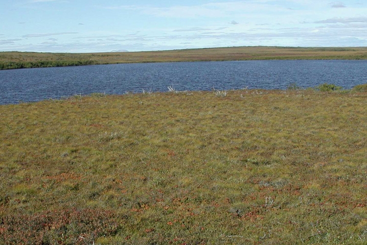 Did last ice age affect breast feeding in Native Americans? | Berkeley