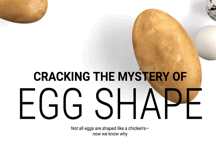 UC Berkeley's massive egg collection helps project up for possible ...