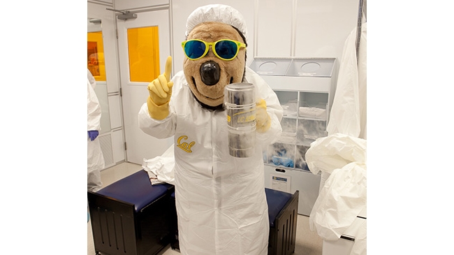 Birthday Bear: Iconic Oski turns 75 | Berkeley