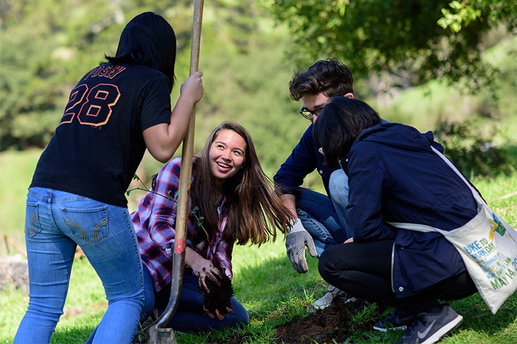 Forestry Club students reforest Tightwad Hill | Berkeley