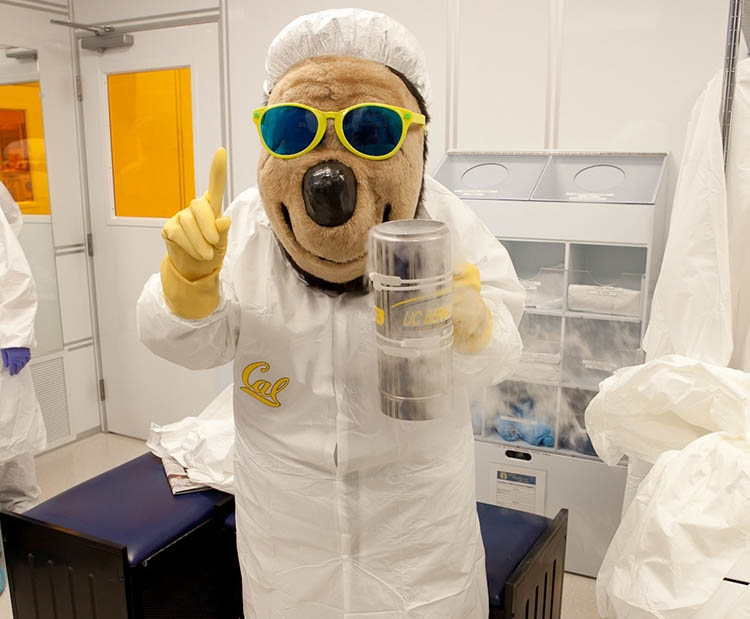 Uc Berkeley Mascot