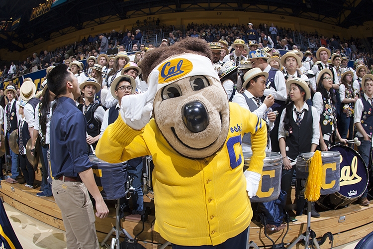 Uc Berkeley Mascot