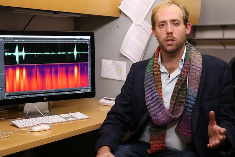Pop-outs: How the brain extracts meaning from noise | Berkeley